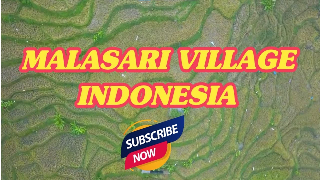 Super large rice terrace in INDONESIA , MALASARI village - YouTube