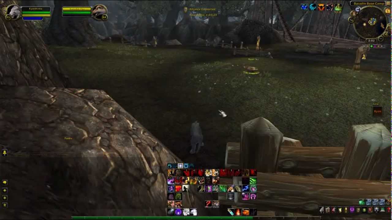 WoW: Fox Kit & the Tiny Emerald Whelpling - YouTube