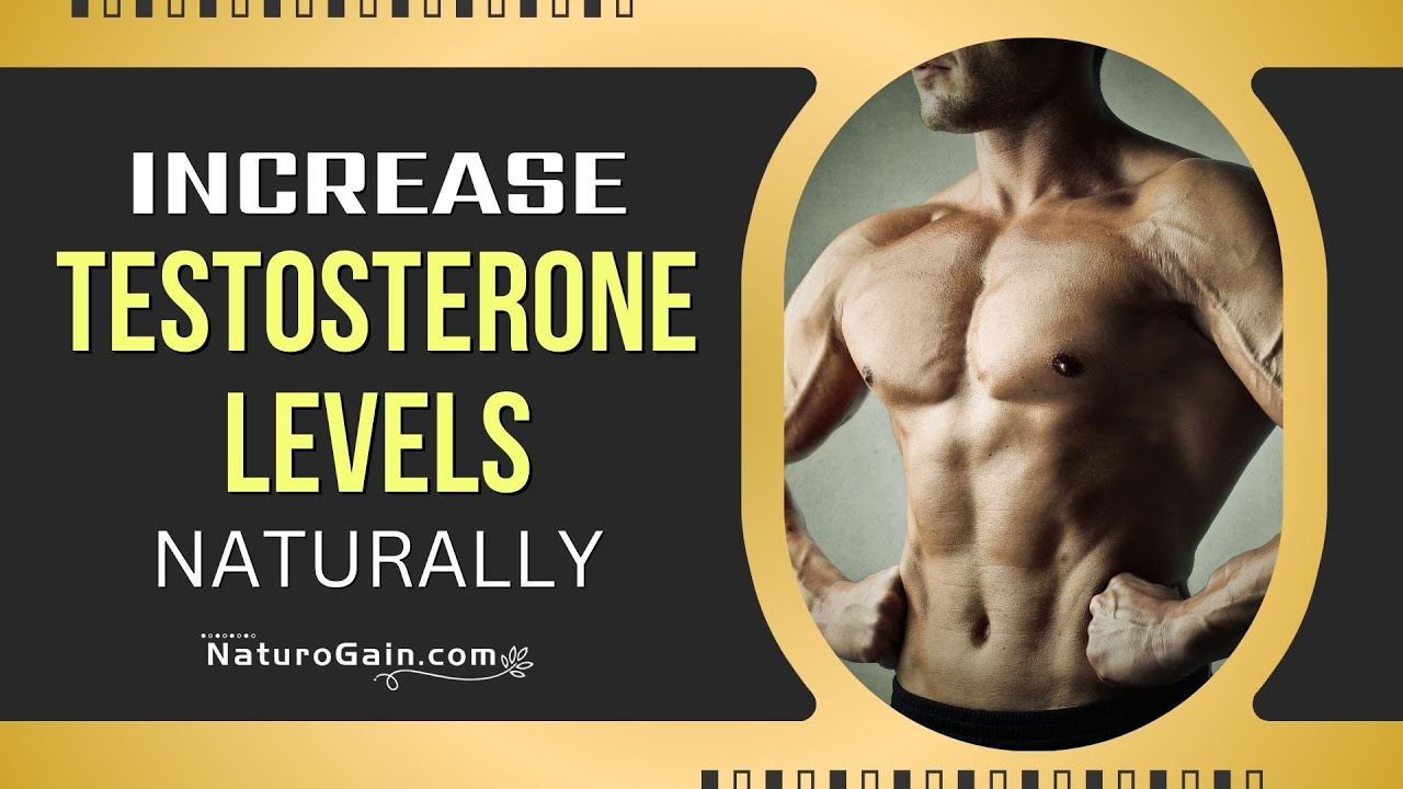 How to Increase Testosterone Levels in Male Body Fast Naturally - Feel ...