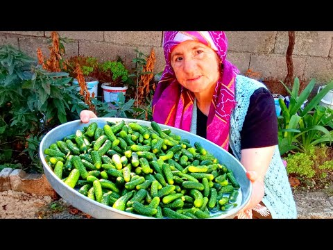 ÇITIRDAMAYAN TURŞU DEVRİ BİTTİ🔴 Aylarca Bozulmayan O Kornişon Turşu