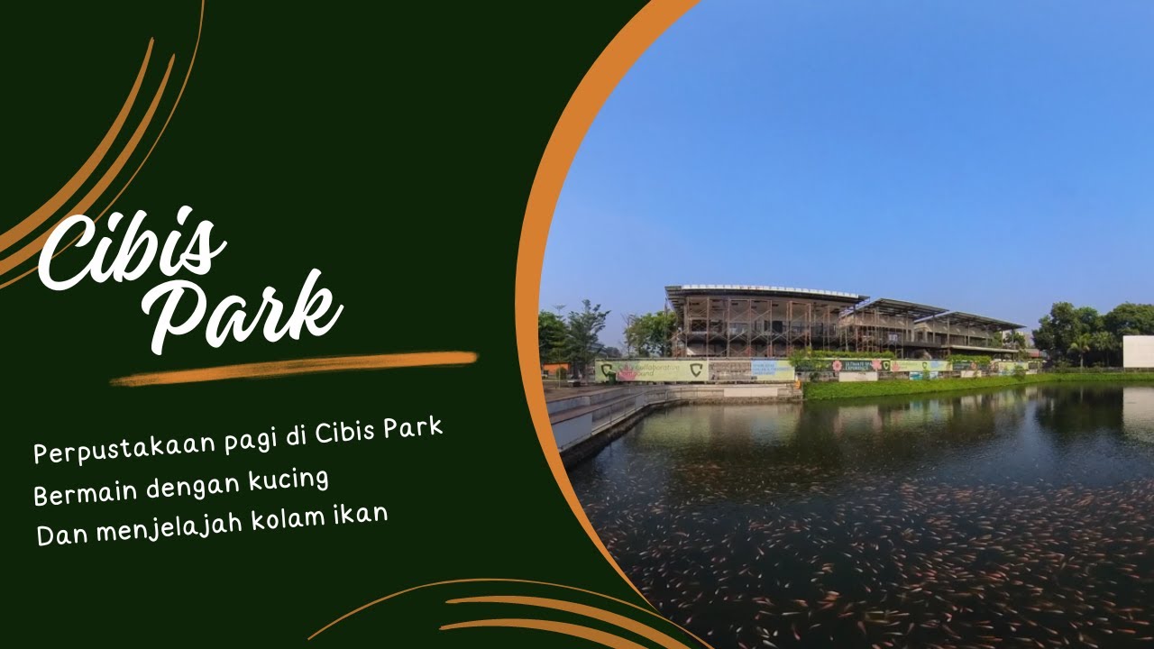 360° - Petualangan Pagi di Cibis Park: Bermain dengan Kucing dan ...