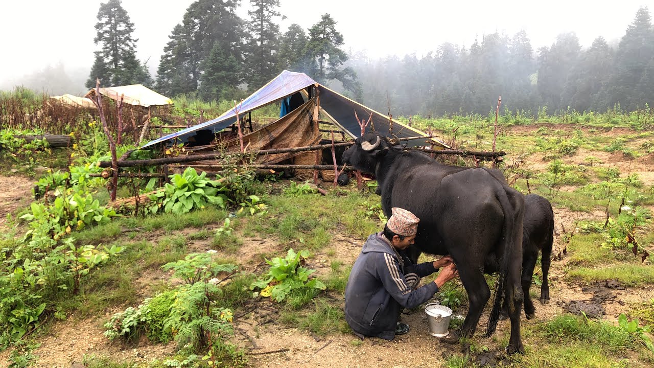 Life Style Of People Living In The Mountains According To The Season ...