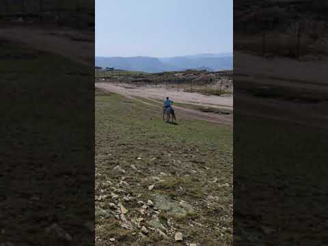 Dağlar qoynunda qoynunda...
