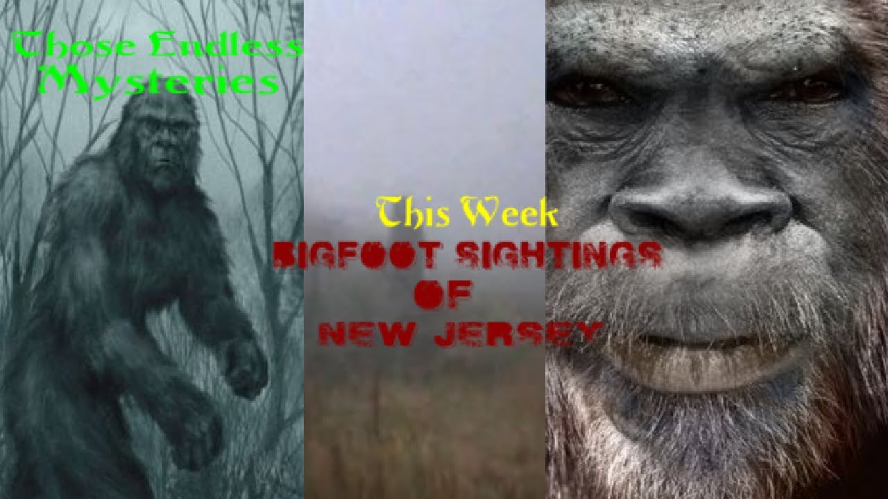 Bigfoot Sightings of New Jersey - YouTube