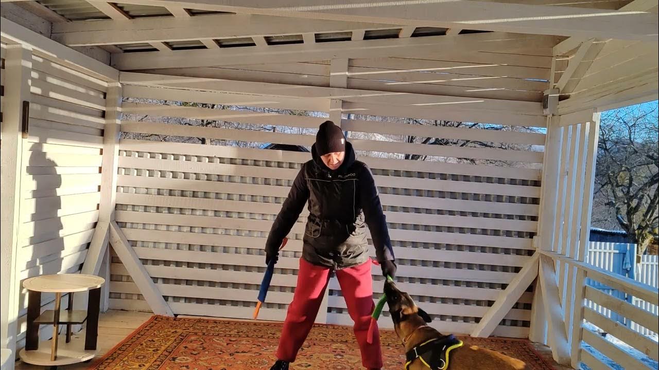 Дай две игрушки - YouTube