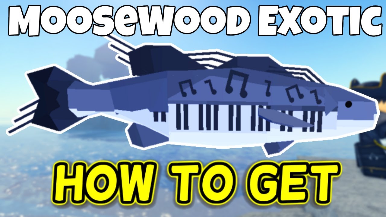 How To Get New MOOSEWOOD EXOTIC In Fisch | Roblox Fisch - YouTube