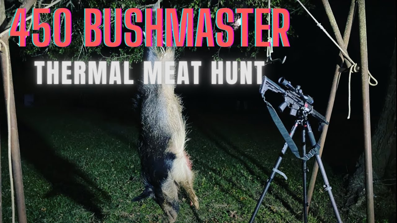 450 Bushmaster Feral Hog Meat Hunt - YouTube