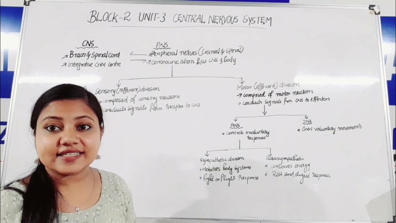 IGNOU 1ST SEM BA PSYCHOLOGY BIOPSYCHOLOGY BLOCK 2 UNIT 3 CENTRAL NERVOUS SYSTEM PART1 - YouTube