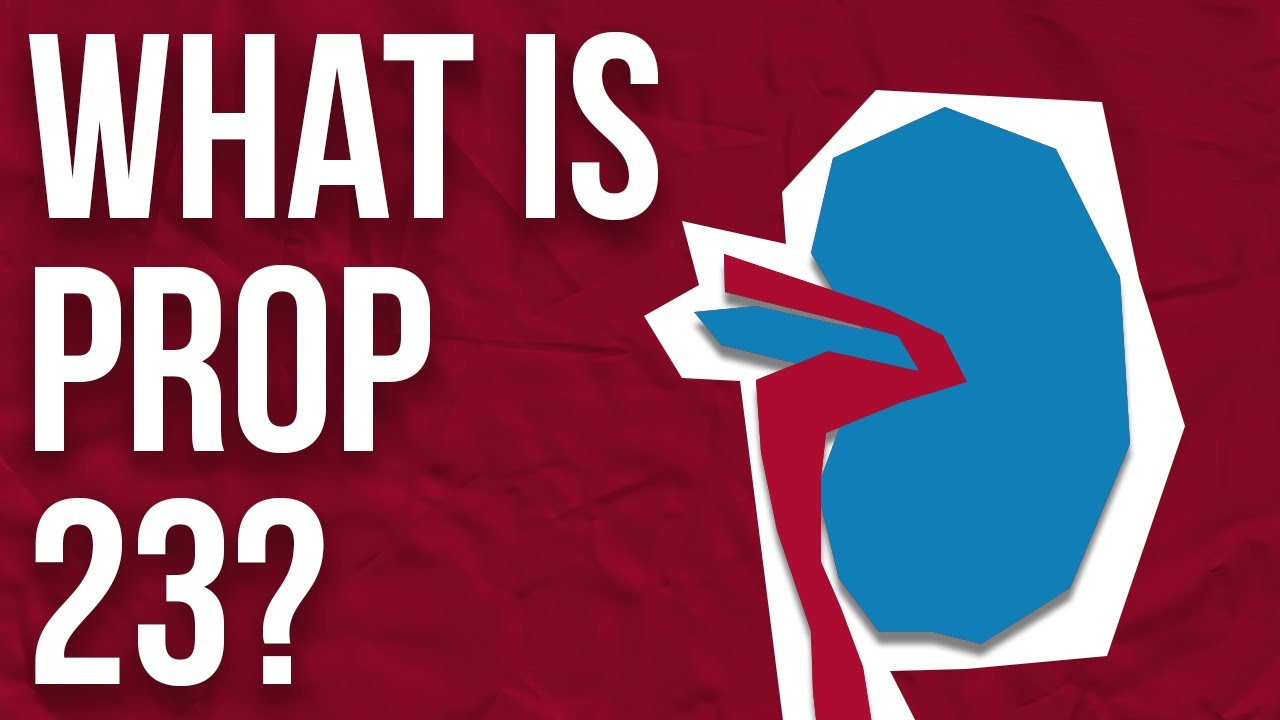 Election 2020: What is Prop 23? - YouTube