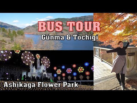 Bus Tour - Gunma & Tochigi - Ashikaga Flower Park | JAPAN | JVlog