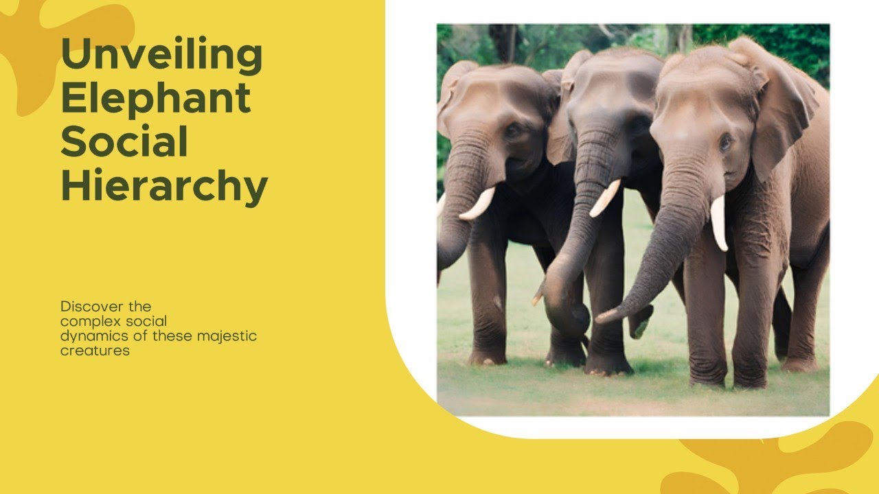 "The Hidden Hierarchy: Elephant Social Structure Revealed" - YouTube