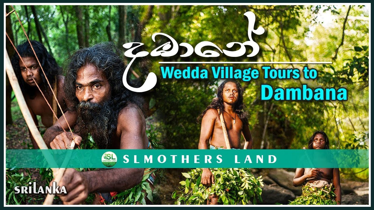 Vedda Village Tours to Dabana | දඔාන වැදි ගම්මානය | Dabana Vedda ...