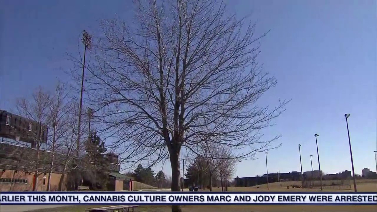 Video: Doug Ford wants Etobicoke stadium named after late brother Rob ...