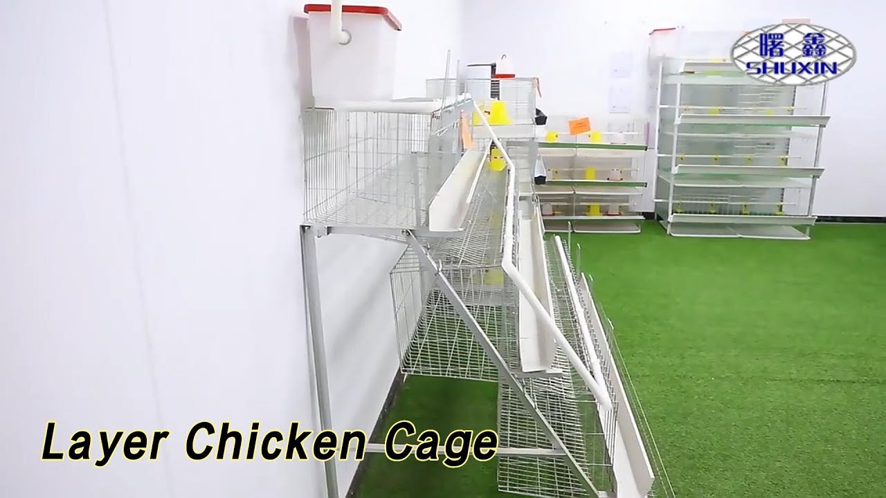 Steel Wire Layer Chicken Cage 3 / 4 Tire 128 Chickens Poultry ...