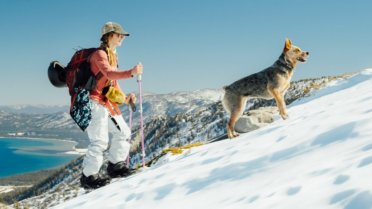 2 Nights Winter Camping in Lake Tahoe | Backcountry Snowboarding - YouTube