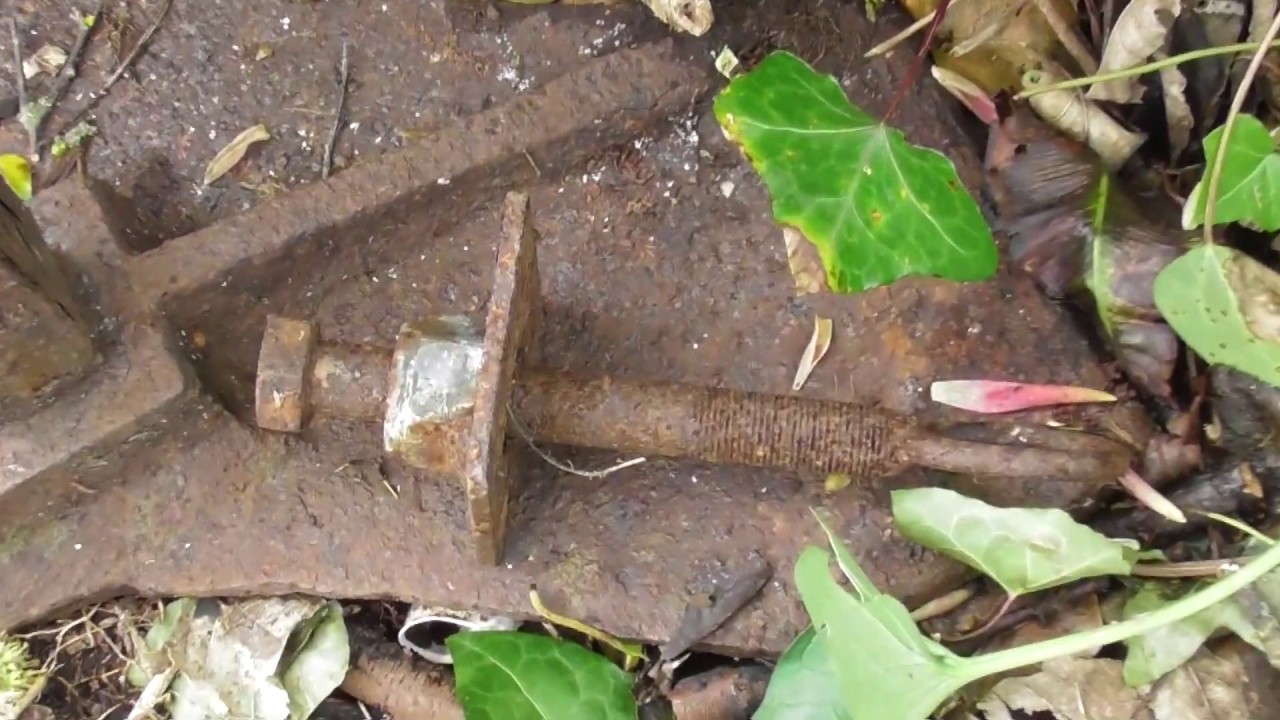 Bear's Bites 29/04/2020 Part 2 of 4 - YouTube