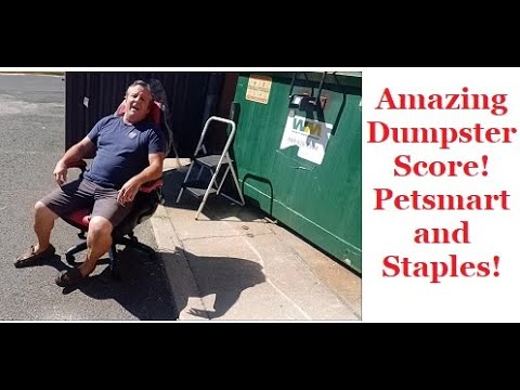Dumpster Diving at Staples and Petsmart ~ Amazing Score! - YouTube