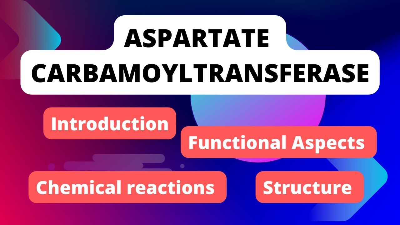 Aspartate Carbamoyltransferase | Aspartate transcarbamoylase ...