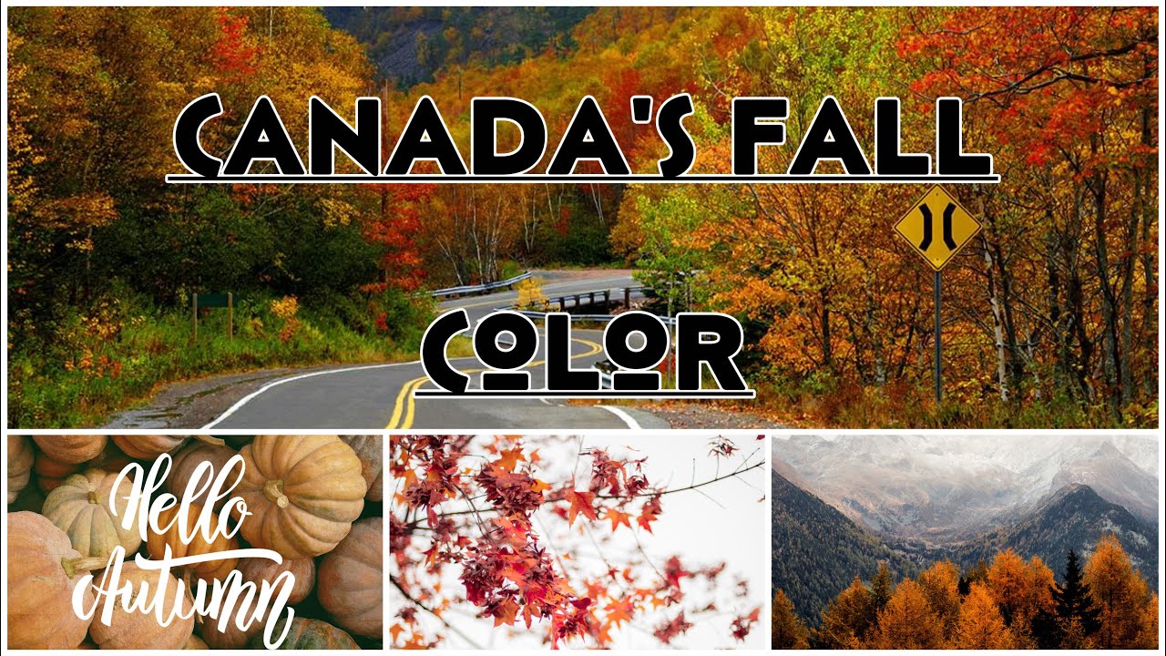 Canada’s Fall Color | Southern British Columbia | 4K Resolution - YouTube