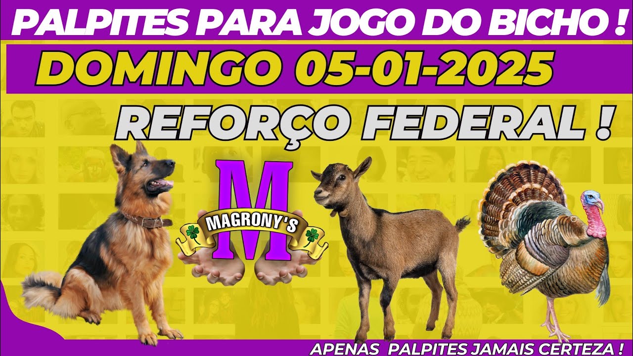 PALPITE DIA 05/01/2025 - JOGO DO BICHO TODAS AS LOTERIAS ! - YouTube