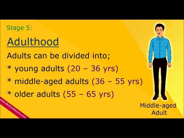 Stages Of Human Development From Birth To Adulthood