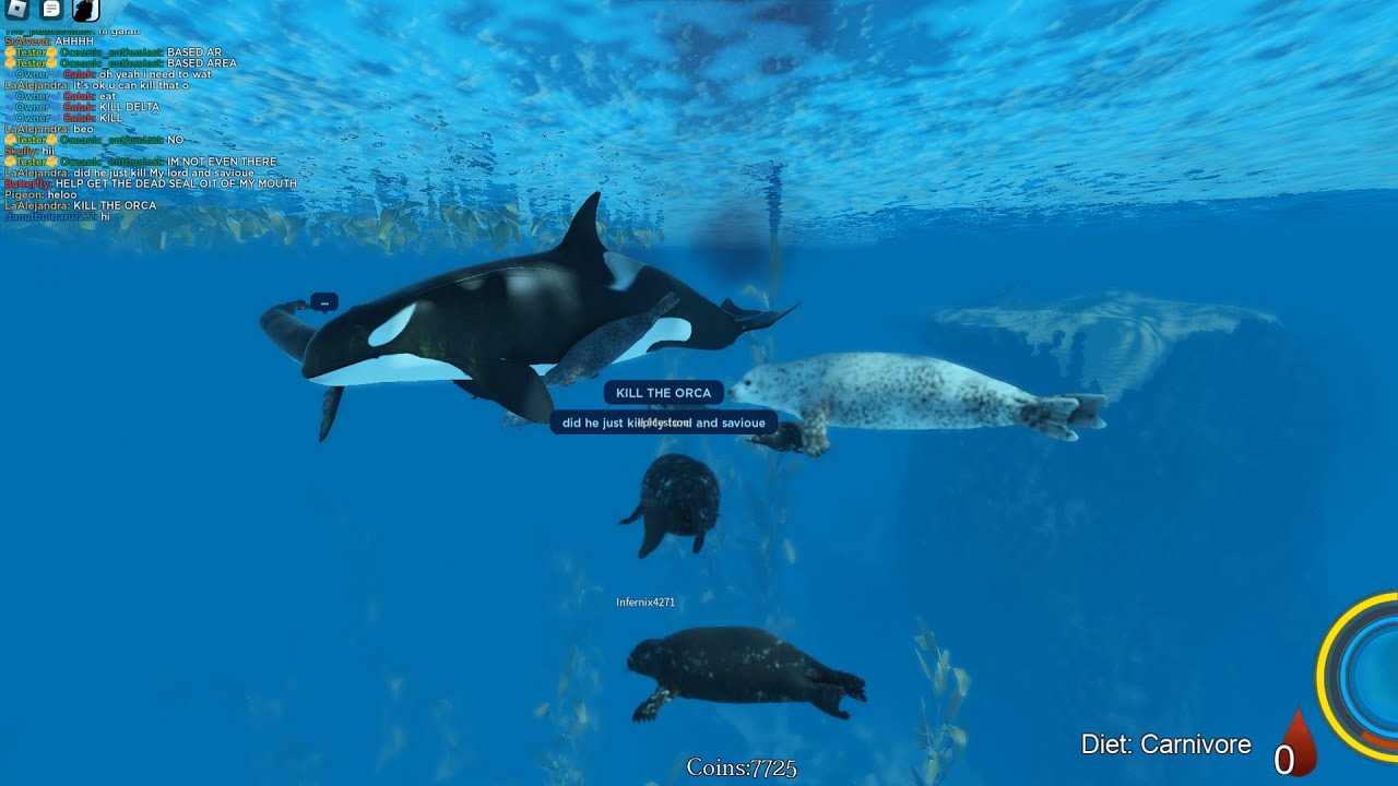 Harbour Seal update // Oceanic Testing 2 (Roblox) - YouTube