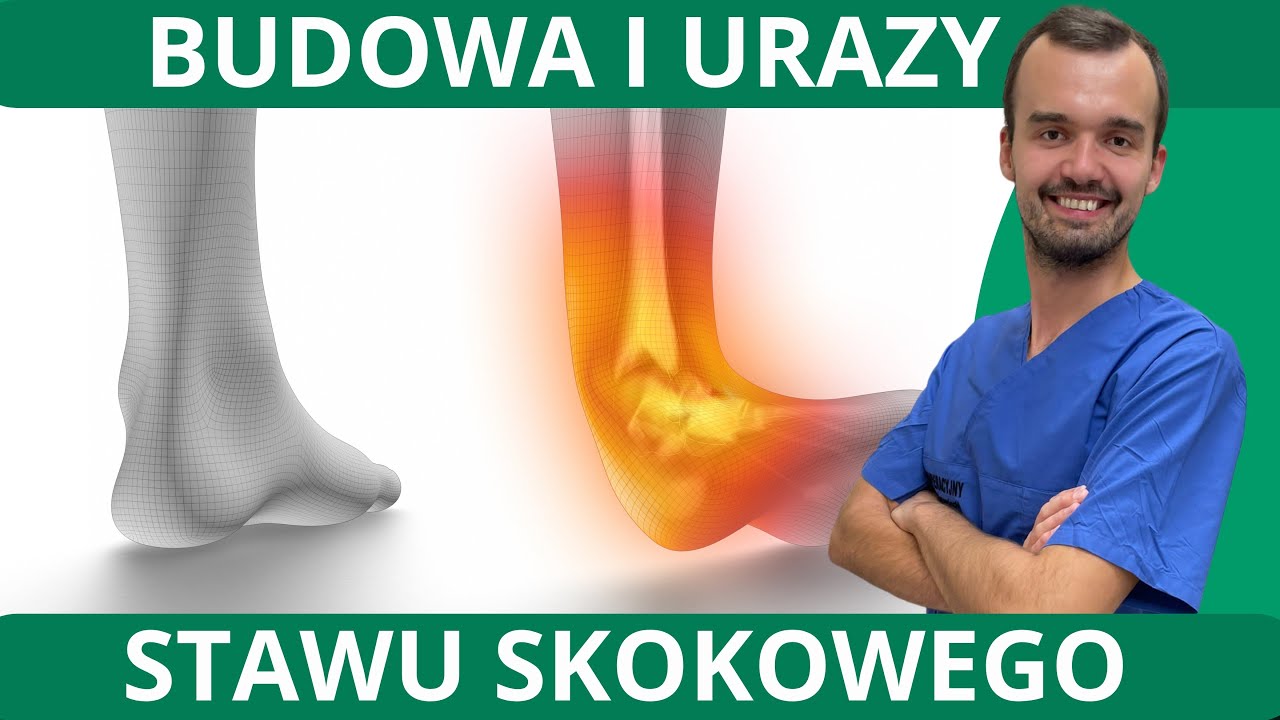 Staw skokowy – wszystko, co powinieneś wiedzieć o jego budowie