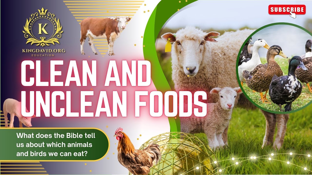 KDOE — Clean and Unclean Foods - YouTube