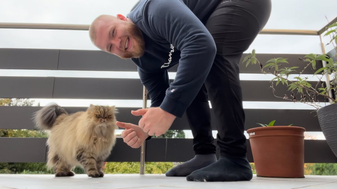 Fred und ich genießen die kühlen Temperaturen 🥰 - YouTube