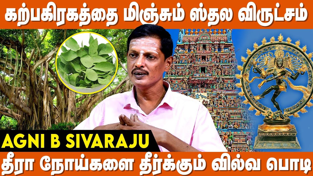 வெற்றியை தரும் நடராஜர் சிலை !! | Sivan Kovil Valipadu | Sthala ...