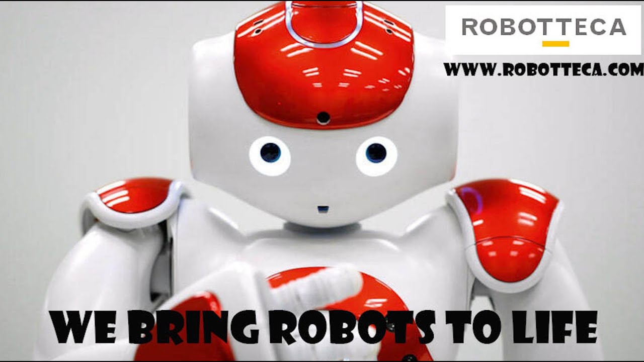 🤖 "Nao Robot with Zora: Human-Robot Harmony ft. Robotteca!" 🌐 - YouTube