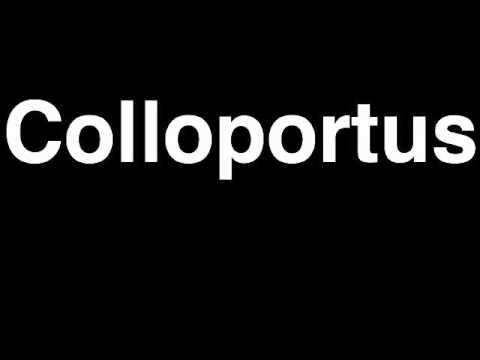 How to Pronounce Colloportus Harry Potter Charm Curse Casting Magic ...