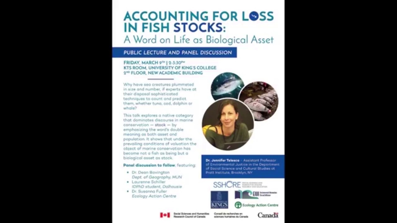 Accounting for Loss in Fish 'Stocks': a Word on Life as Biological ...