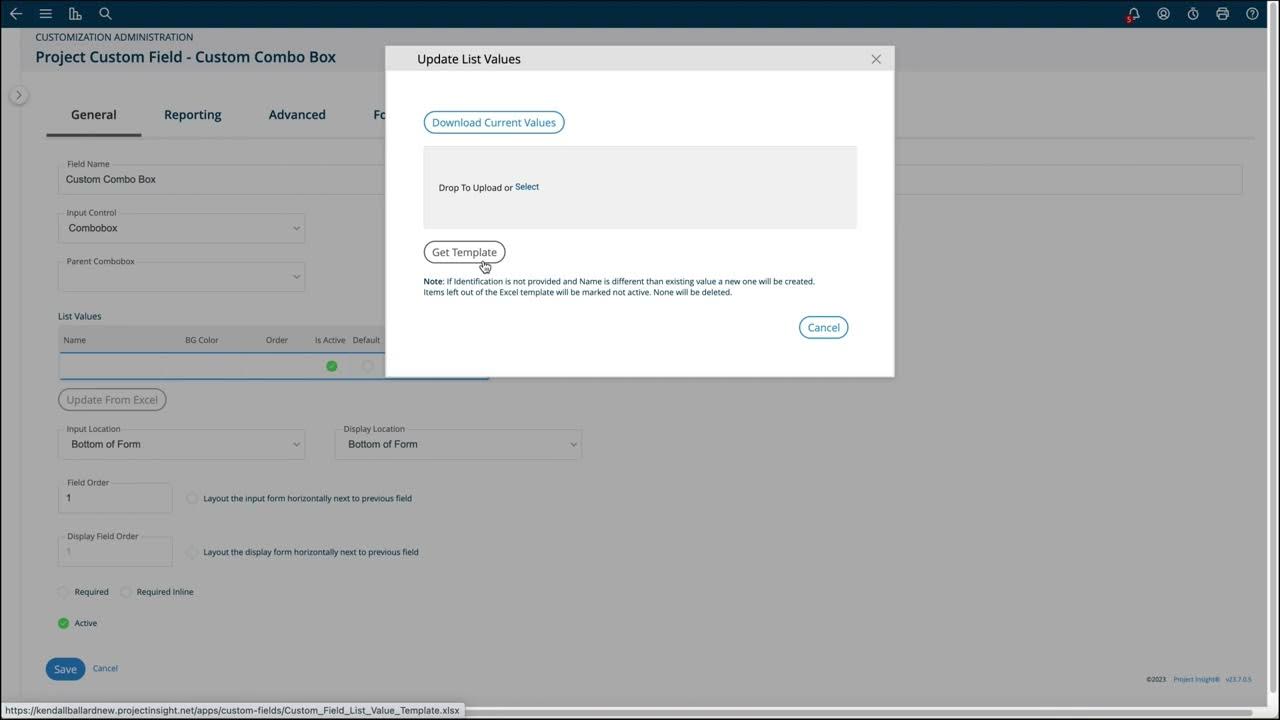 Using Excel to Import List Values for a Custom Combobox and other List Based Custom Fields - YouTube