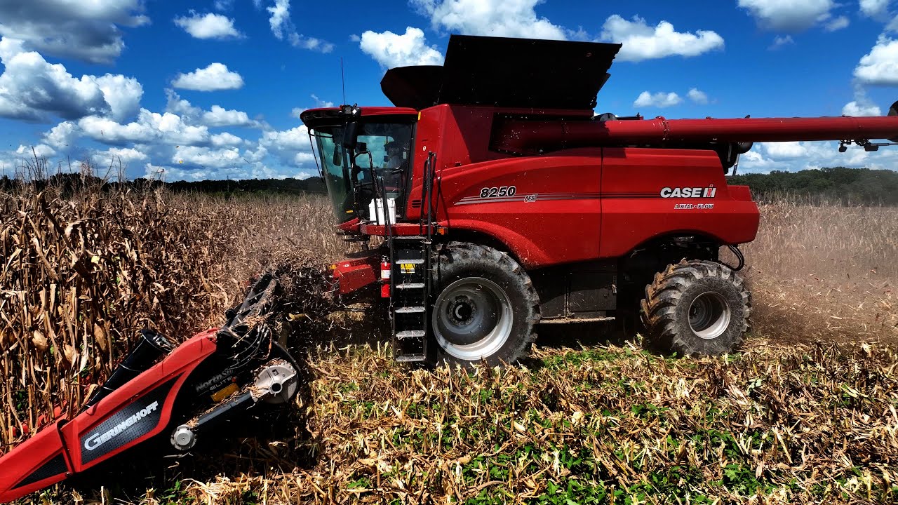 BACK TO CORN HARVEST IN ALABAMA - YouTube