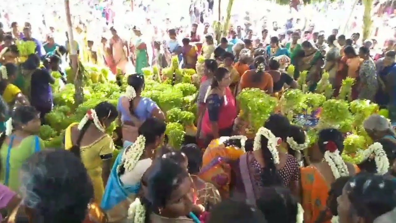 முளைப்பாரி பாடல் | கும்மி பாட்டு | Mulaipari kummi padal | Song ...