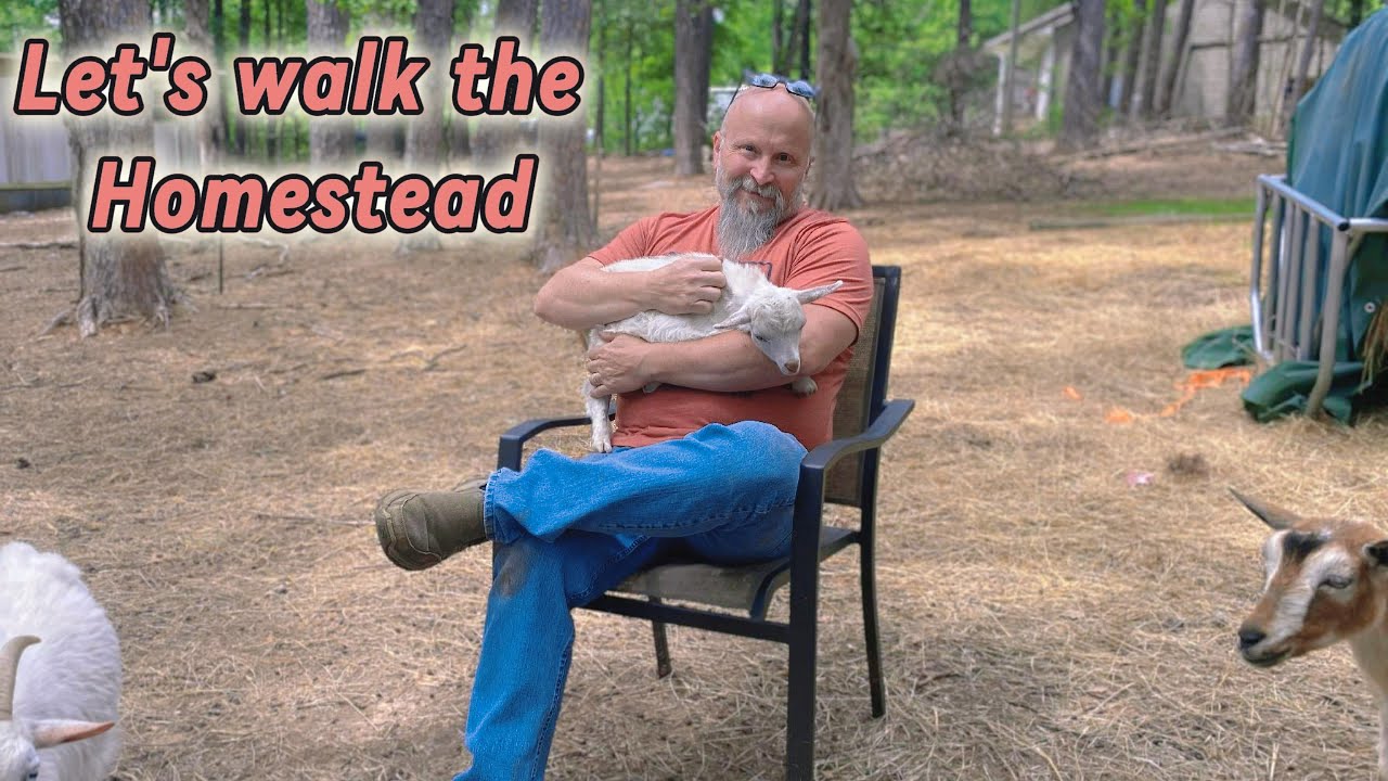 lets walk the Homestead - YouTube