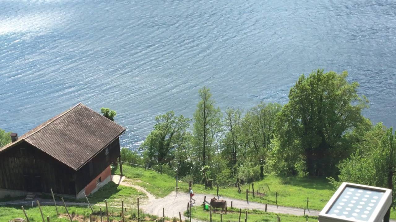 Beautiful Lake Lucerne from Sisikon, Switzerland. - YouTube