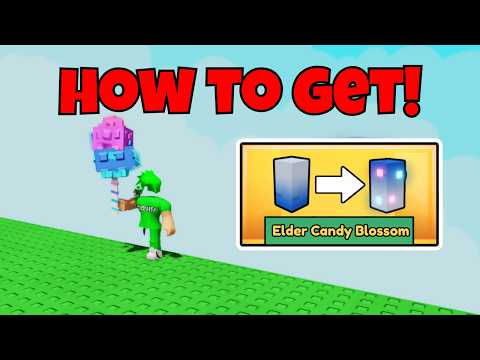 HOW TO GET CANDY BLOSSOM & ELDER CANDY BLOSSOM SHOWCASE in GROW A GARDEN! | Roblox