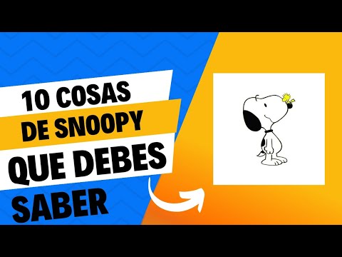 La historia detrás de Snoopy: 10 datos interesantes - YouTube
