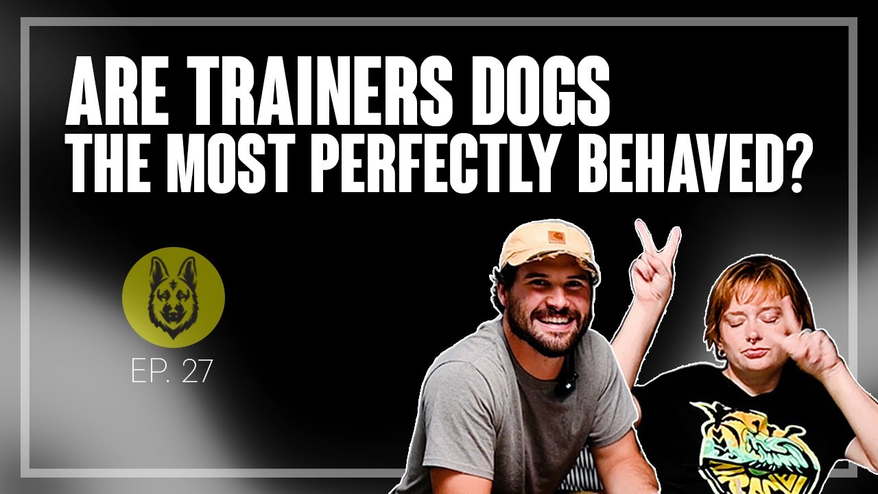 MK9 Podcast Ep. 27 - How Trainers Live With Their Own Dogs - YouTube