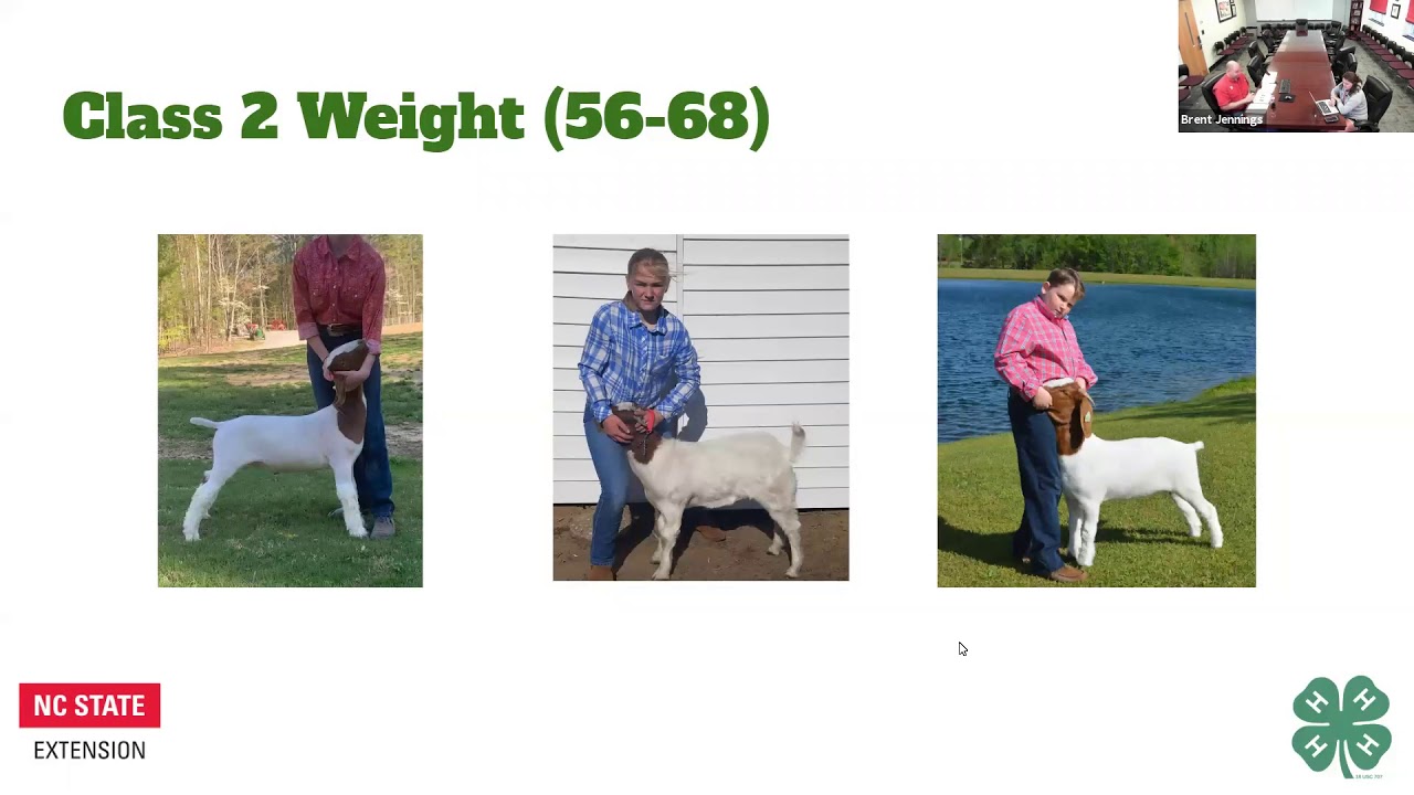 Showing from Home - Meat Goat Show - YouTube