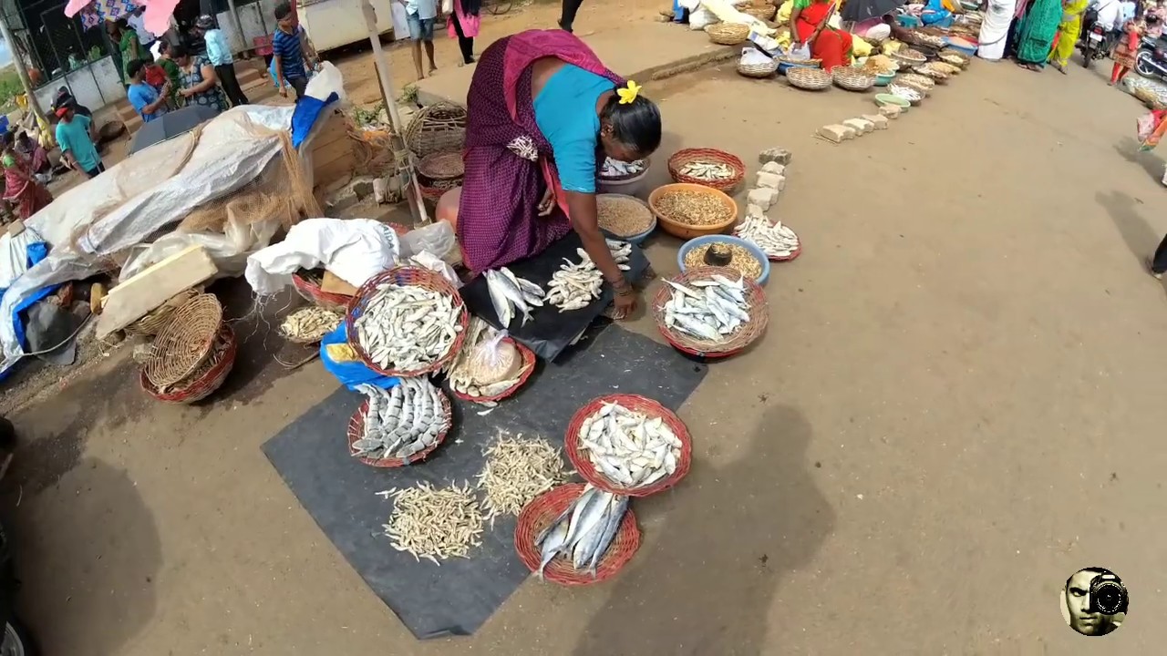 Karwar Fish Market : Karnataka - YouTube