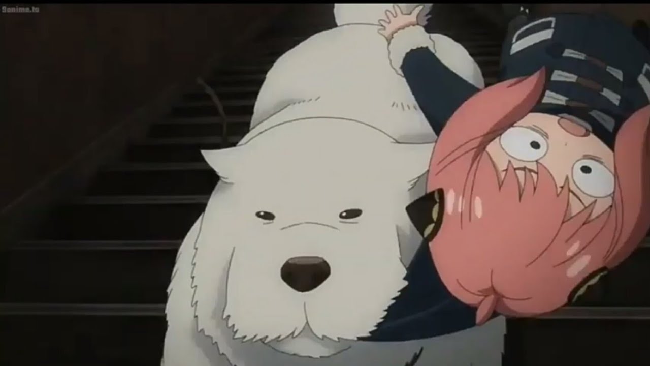 Anya riding a Dog [ Spy X Family part 2 ] - YouTube