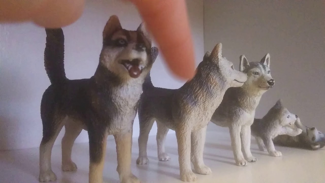 Wolf collection!!! 🐺 - YouTube