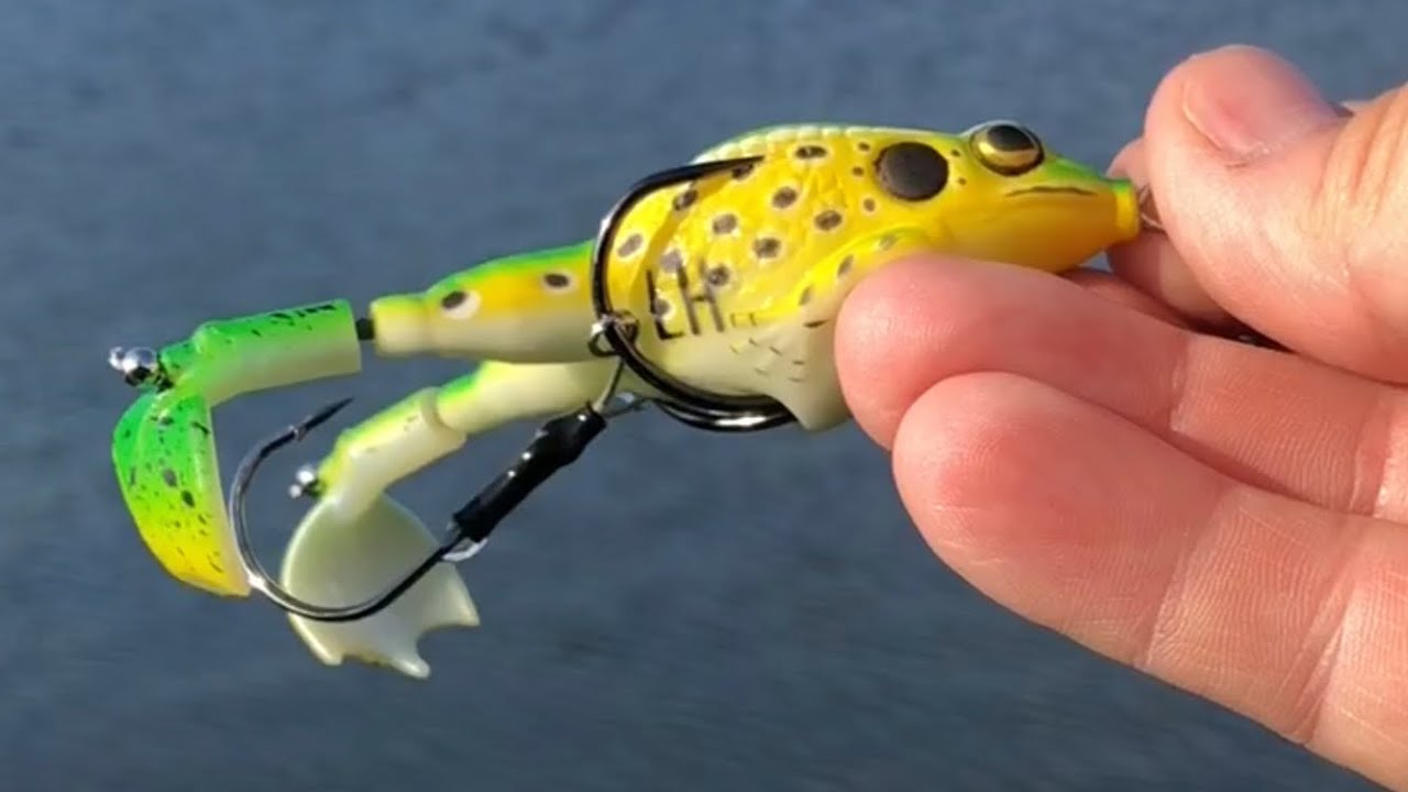 Lunkerhunt Prop Frog Review on the Pond - YouTube