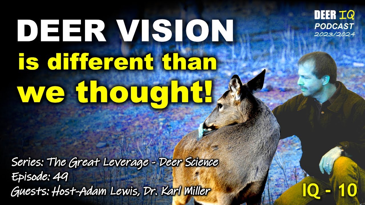 Deer Vision is Different Than We Thought! Series: Deer Science w/guest ...