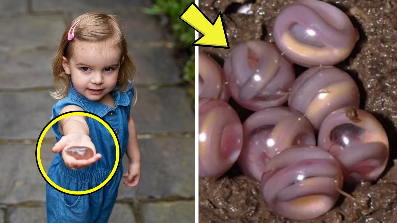 Girl Returns Home With "Bag Of Marbles." Dad Calls 911 When He Realizes ...