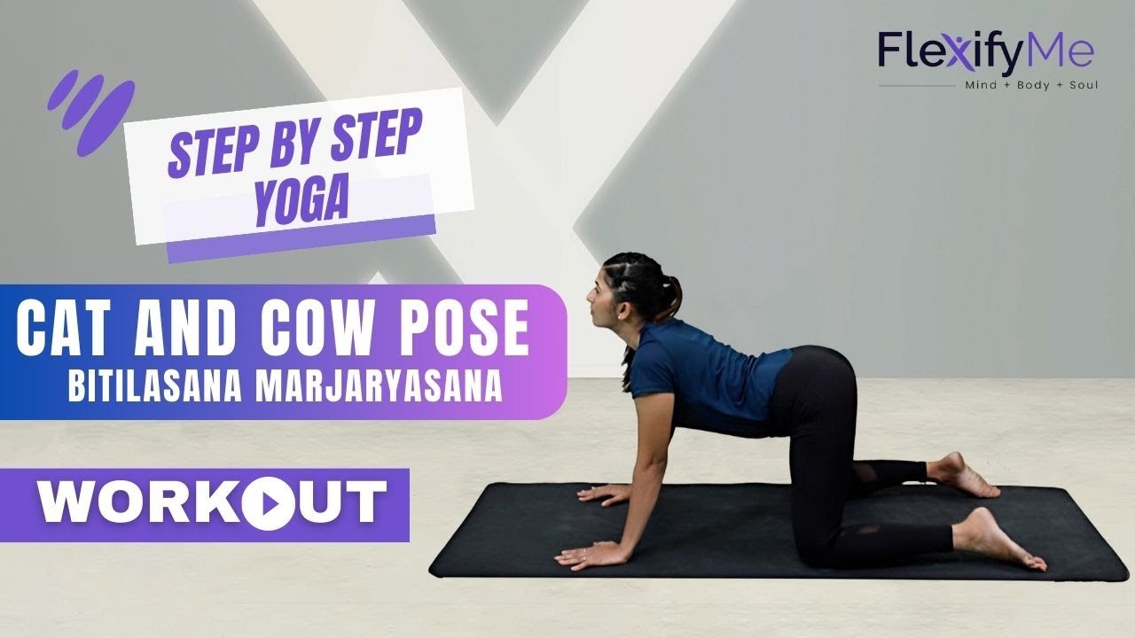 Cat Cow Yoga Pose for Back Pain || Bitilasana Marjaryasana yoga for ...