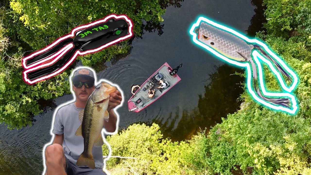 Creek Fishing For Big Bass!! (Frog Bite) - YouTube